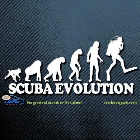 Scuba Diver Evolution Car Decal | Window Sticker
