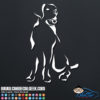 Loyal Labrador Dog Vinyl Car Decal Sticker | Dog Decals