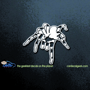 Tarantula Spider Car Window Vinyl Decal Sticker | Wildlife Decals