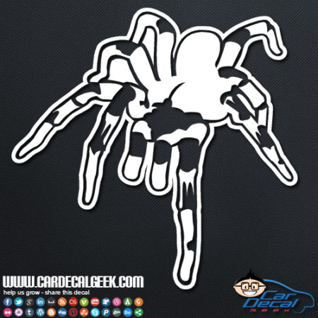 Tarantula Spider Car Window Vinyl Decal Sticker | Wildlife Decals
