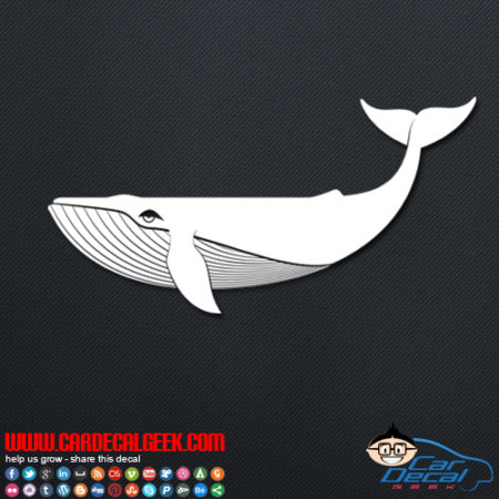Cool Whale Sticker Decal Window Sticker | Wildlife Decals
