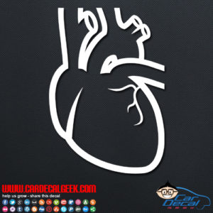 Human Heart Car Window Vinyl & Wall Decal Sticker