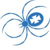 Spider Car Decals Graphics | Window Stickers